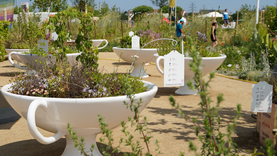 BUGA in Mannheim: Heilpflanzen in Teetassen: Bundesgartenschau 2023 - PTAheute