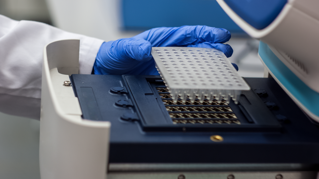 PCR einfach erklärt: So funktioniert die Polymerase-Kettenreaktion ...