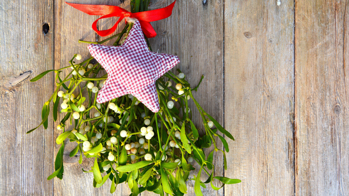 Zum Mistelzweig-Tag am 01. Dezember: Mistel – Weihnachtsschmuck und ...