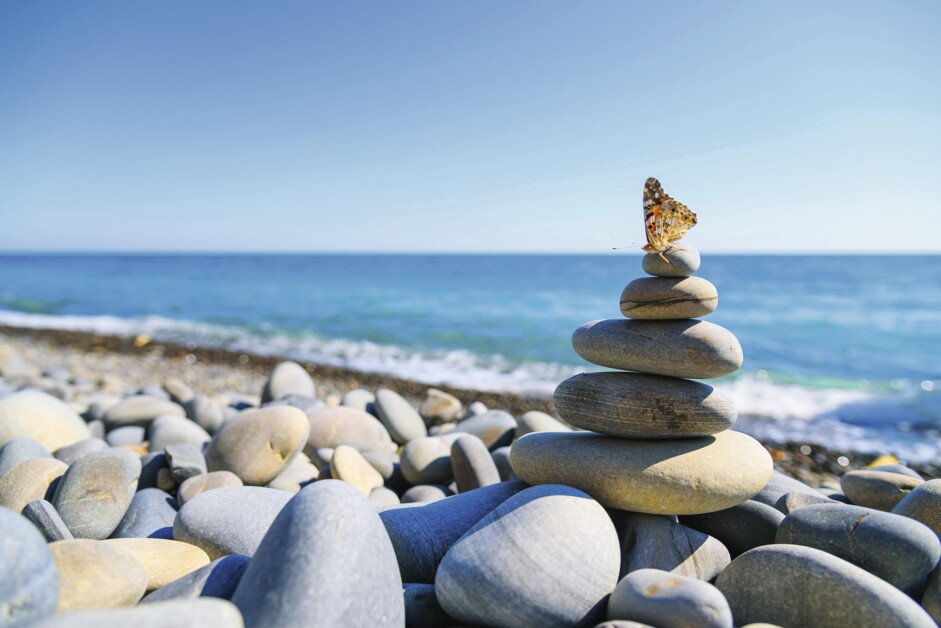 Schilddrüse und Knochen: EmpfindlichesGleichgewicht - PTAheute